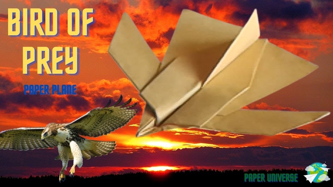 How to Make a Bird Of Prey Paper Airplane / Interesting Facts About ...