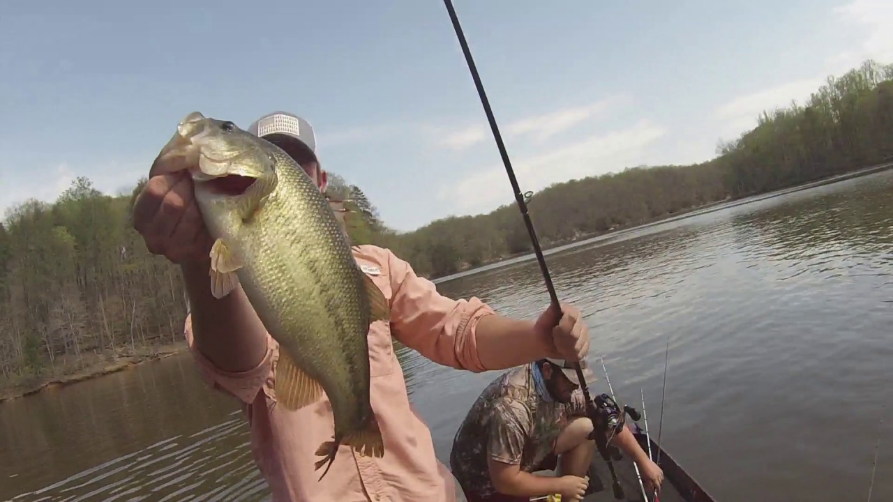 Northern Virginia Bass Fishing | Four Brothers Outdoors - YouTube