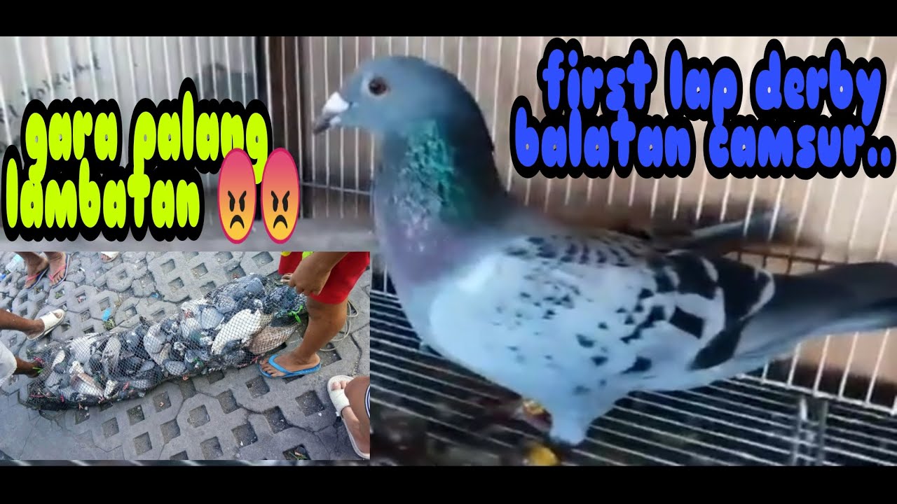 FIRST LAP DERBY, LAMBATAN SA BALATAN - YouTube