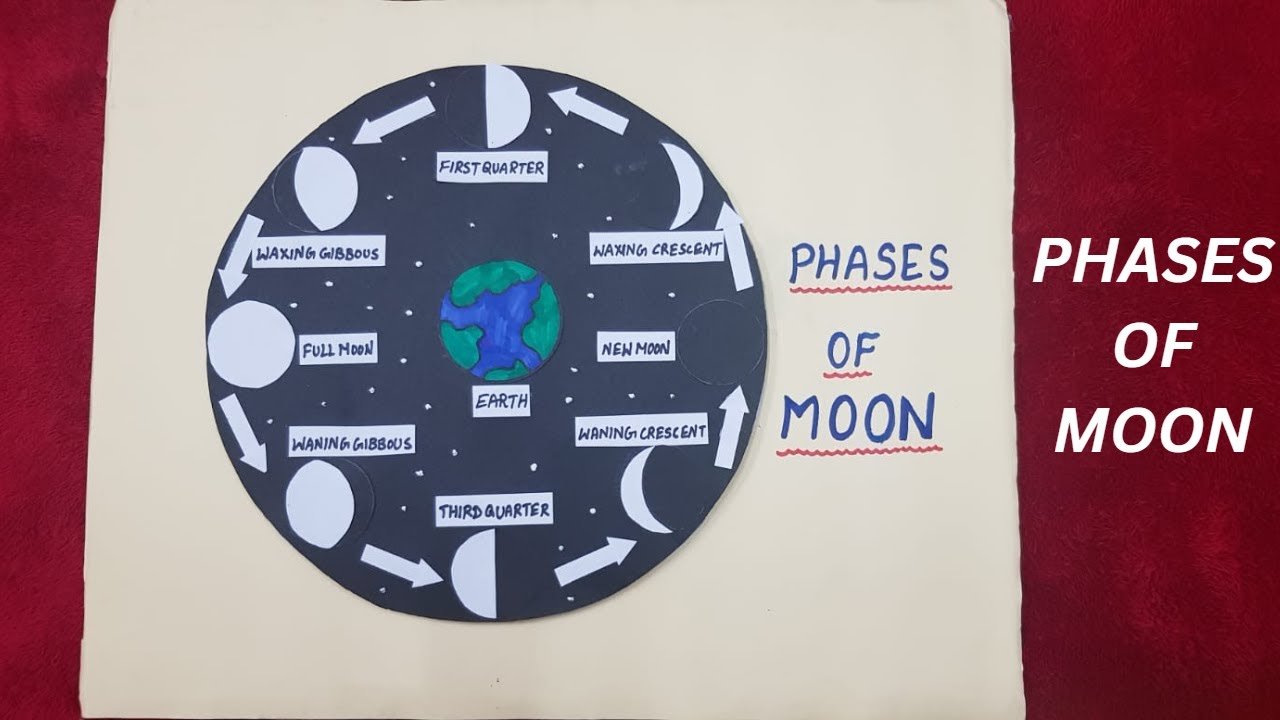 Phases of the moon model / Science project / Phases of the moon model ...