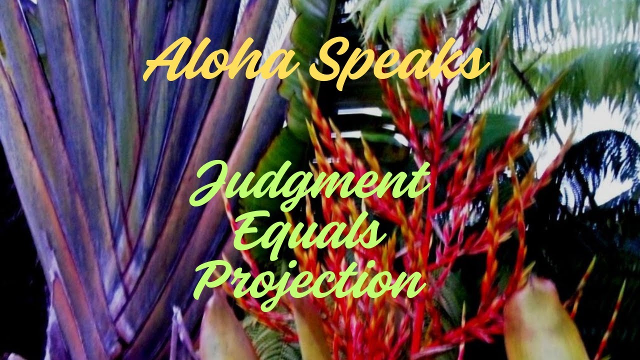 Judgment Equals Projection #relationships #angerissues # ...