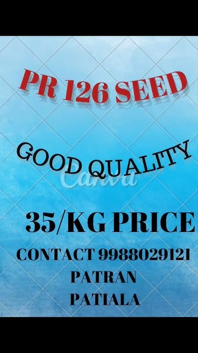 PR 126 SEED - YouTube