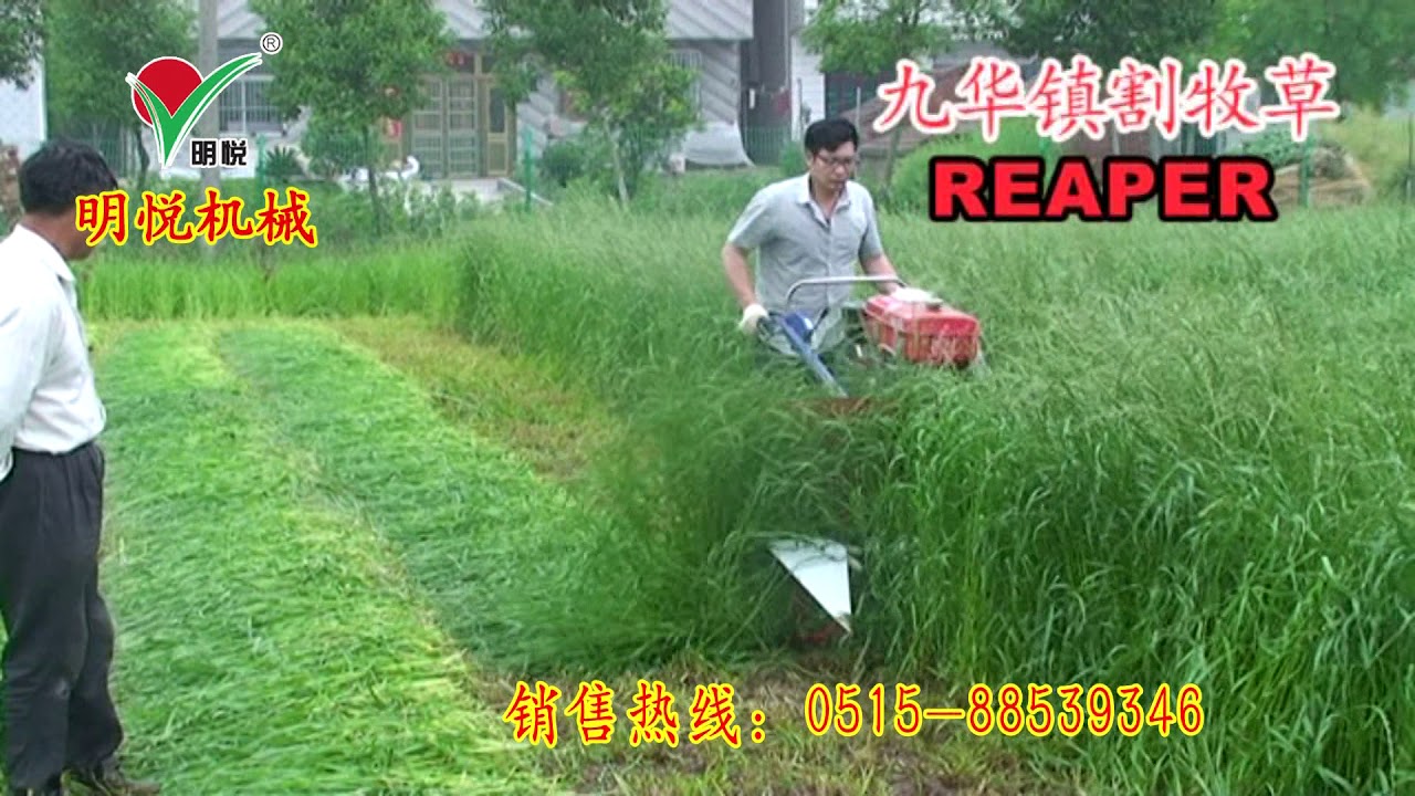 Forage grass reaper, forage grass cutter - YouTube