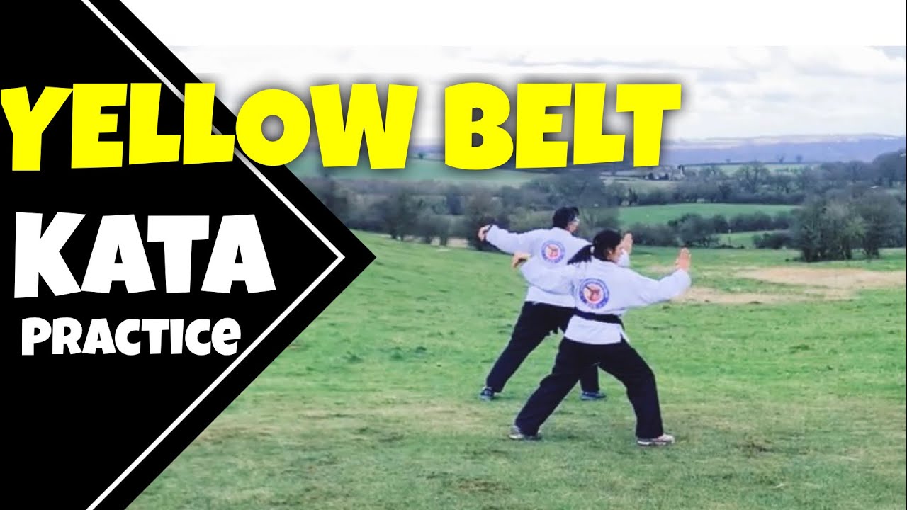 Yellow Belt Form Kata Practice: Synchronised martial arts pattern - YouTube