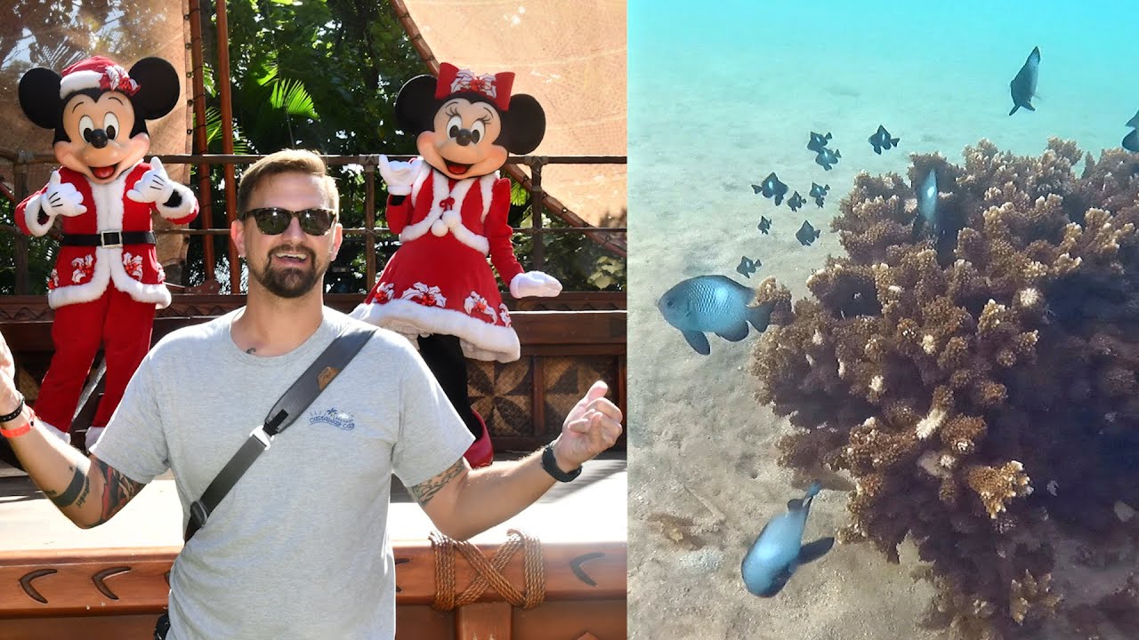 We Went Snorkeling In Hawaii At Disney's Aulani Resort! | Meeting ...