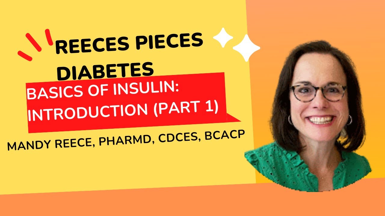Basics of Insulin Part 1: Introduction - YouTube