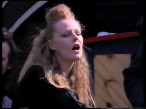 Lick The Tins - Can't Help Falling in Love (Official Video)