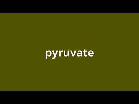 what is the meaning of pyruvate - YouTube