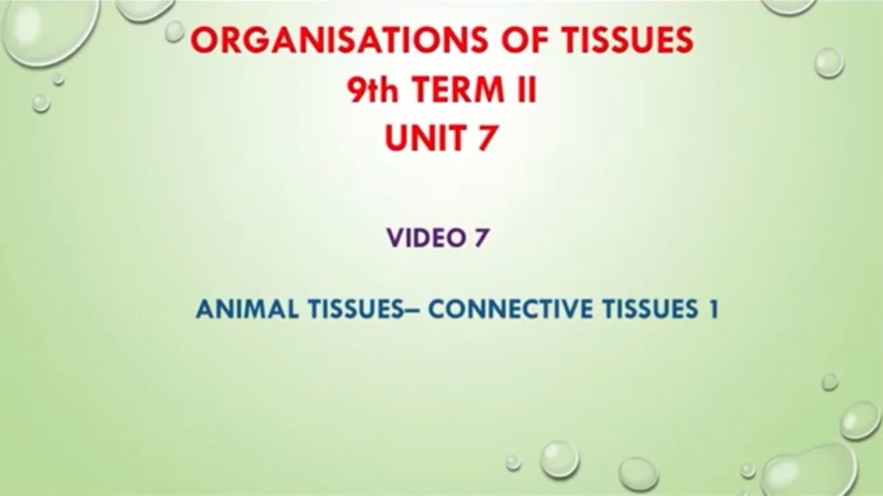 9th STD Samacheer Science | Organisation of Tissues - Animal Tissues ...