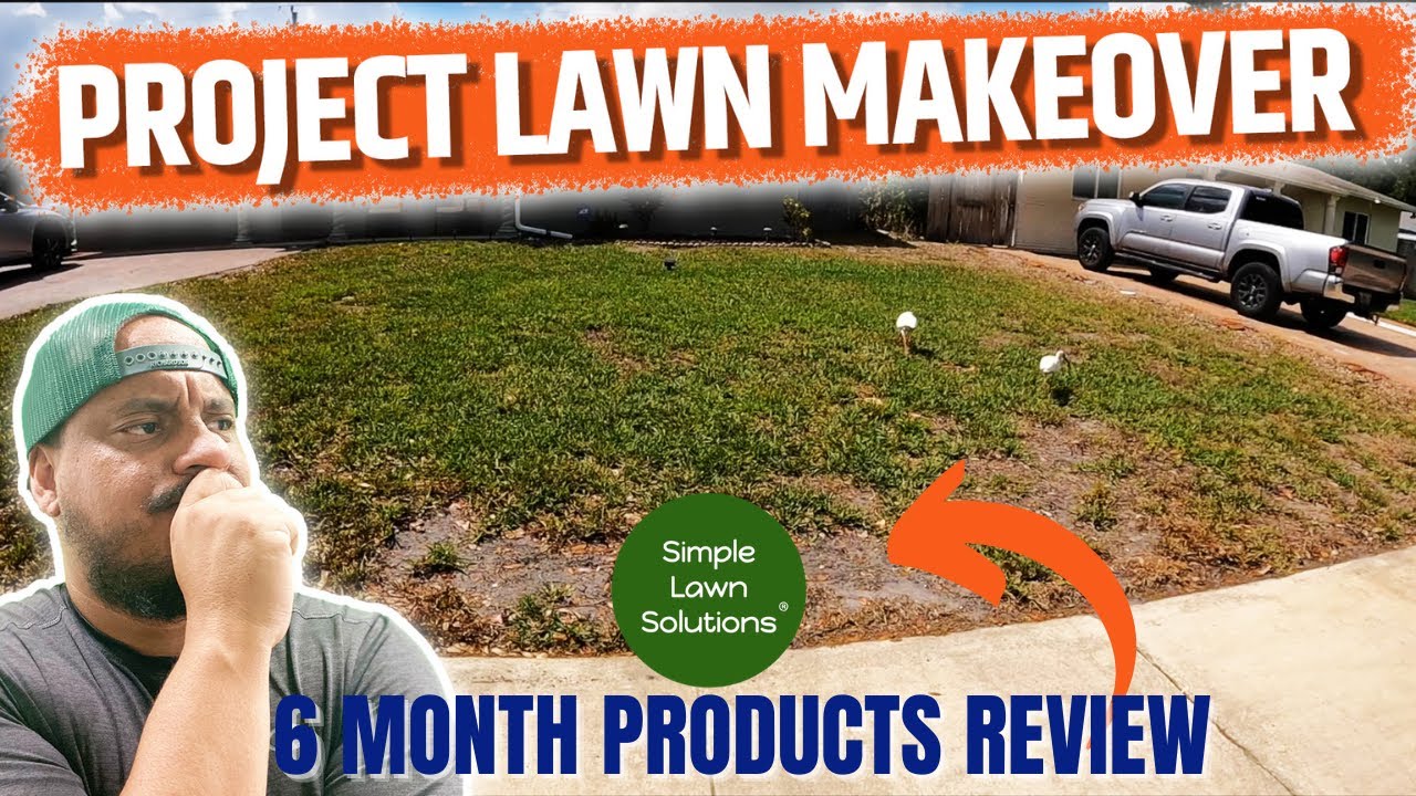 Project Lawn and Simple Lawn Solutions Product Review | 6 Month Project ...