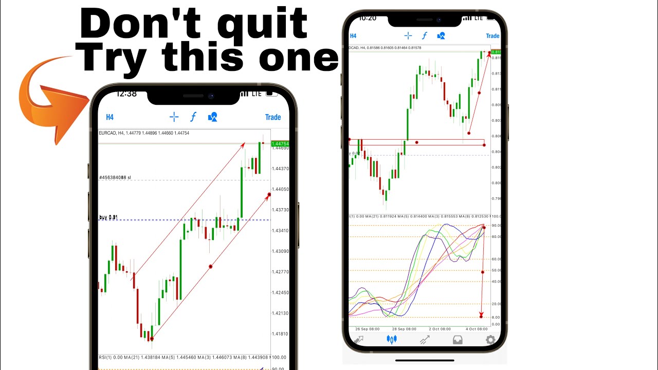DON’T QUIT FOREX trading 100% try this one - YouTube