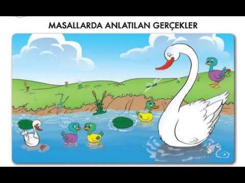 3. Sınıf Türkçe Dersi Masallarda Anlatılan Gerçekler Dinleme Metni