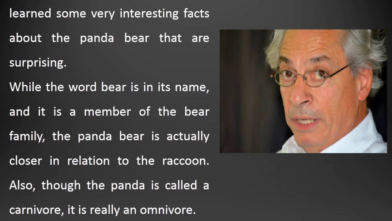 Gregory Elias on Interesting Panda Bear Information - YouTube