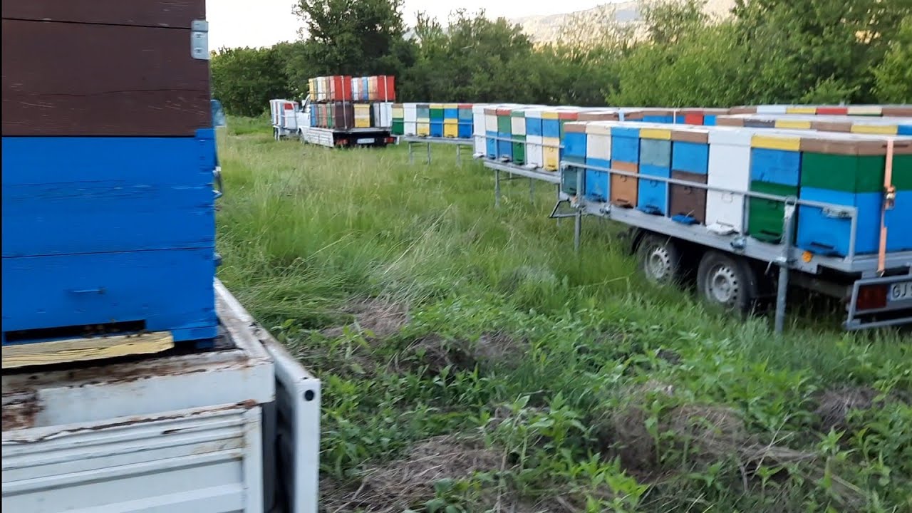 19 mai 22 - Salcam II si remorci apicole. - YouTube