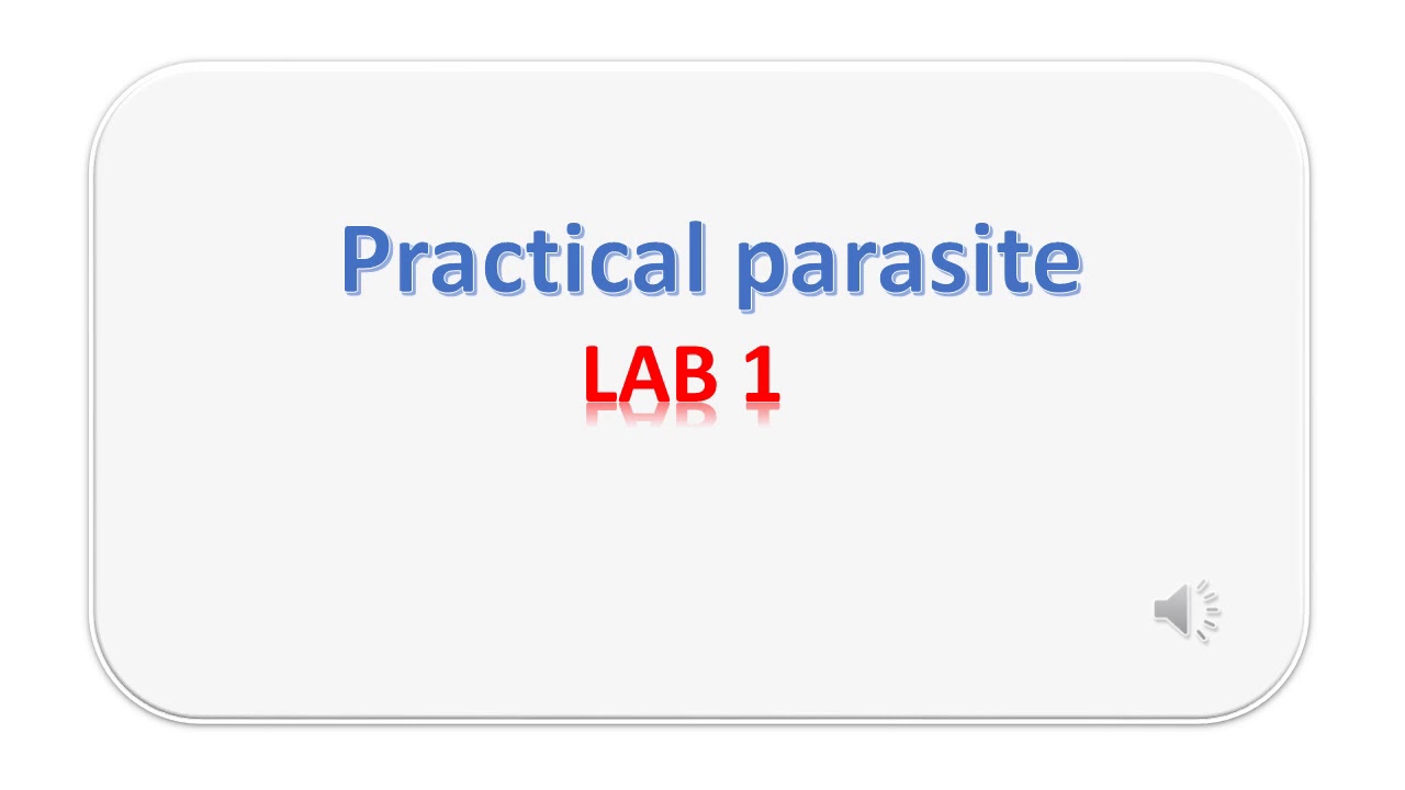 Practical parasite lab 1 stage 2nd - YouTube