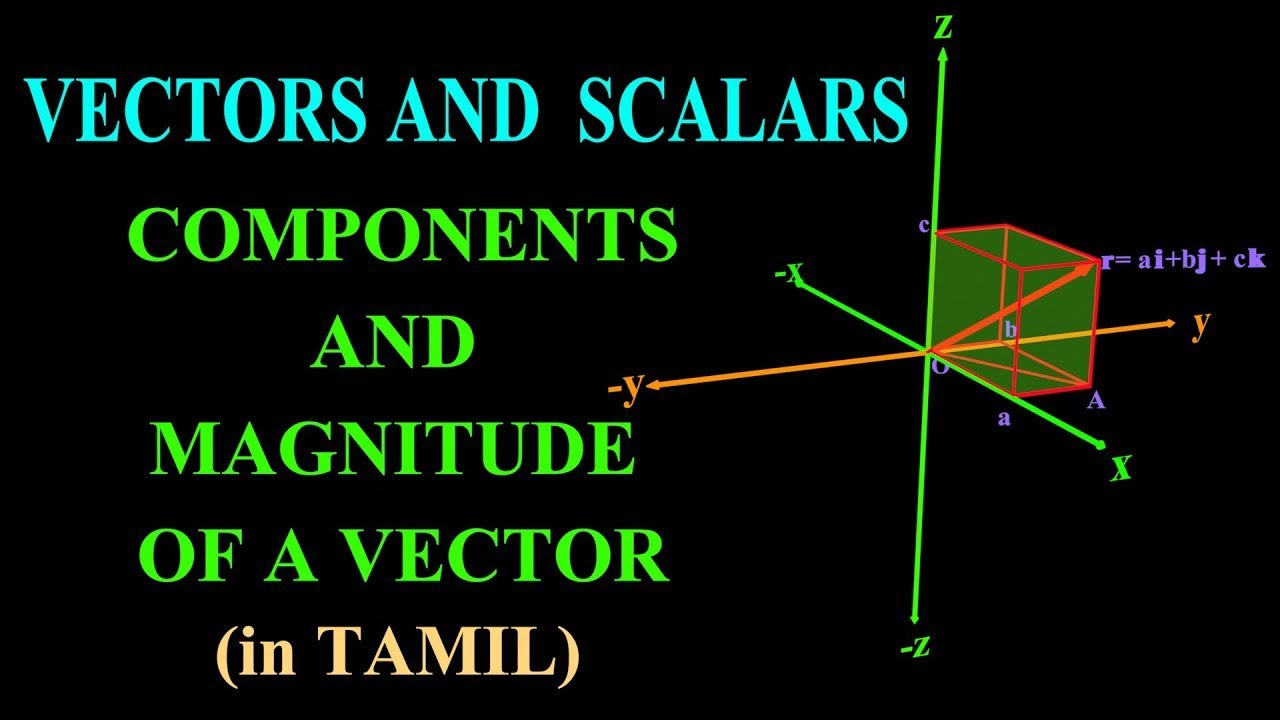 VECTORS AND SCALARS: VECTOR REPRESENTATION, COMPONENTS AND MAGNITUDE OF ...