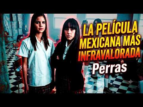 EXPLICACIÓN de PERRAS la película MEXICANA más INFRAVALORADA // Resumen y análisis
