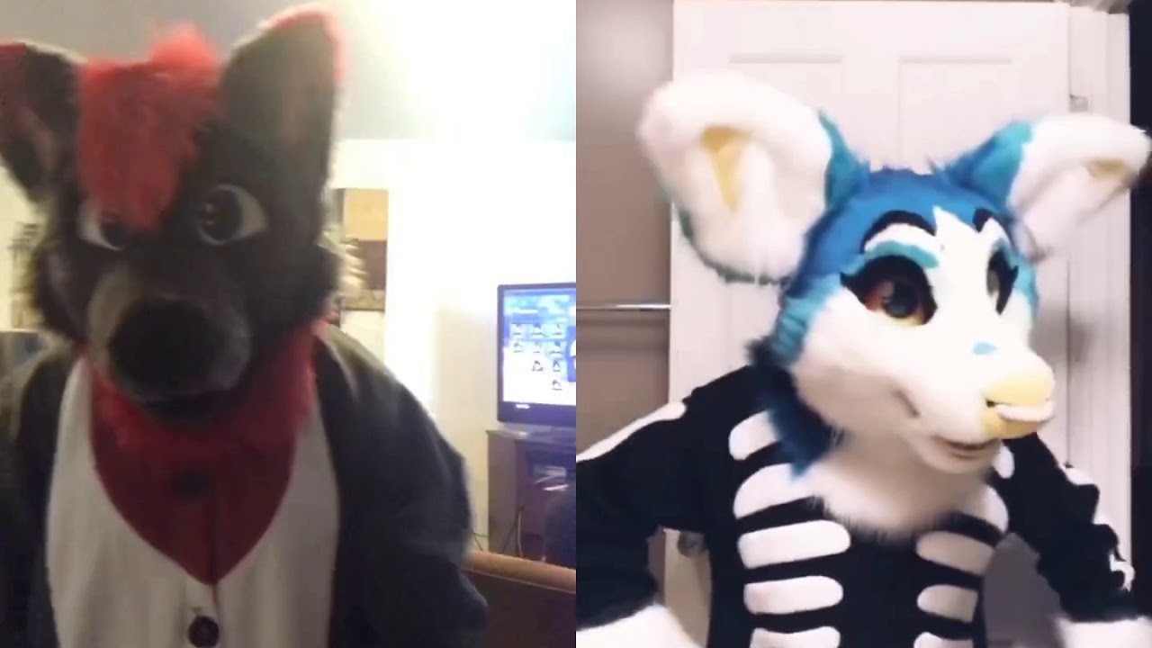Rosie the wolf Tik Tok - YouTube