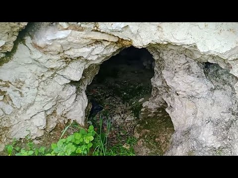 Rıza Aslandoğan Karışık Türküleri canlı Şelpe Dertli Türküler