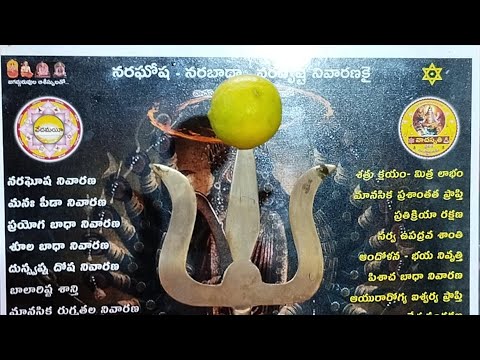 Sri Shoolini Durga Aaradhana & Homam @ Vachaspati - YouTube