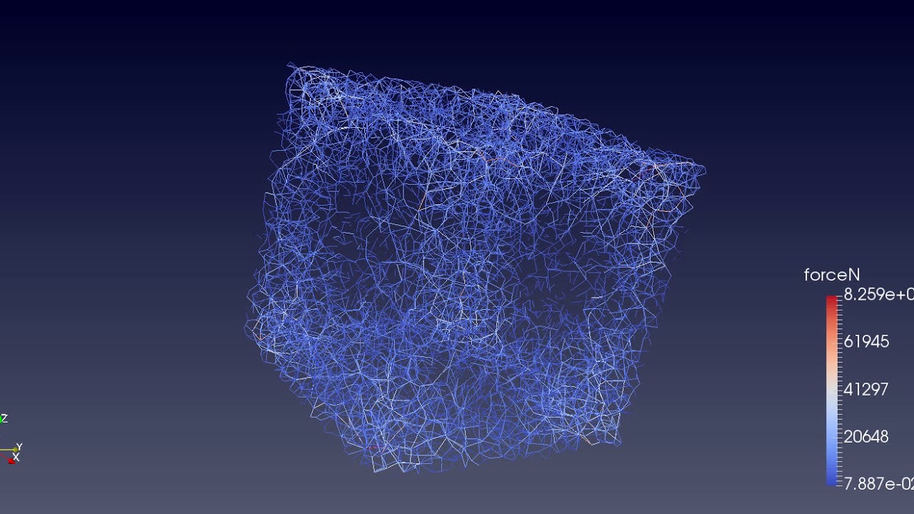 DEM simulation using Yade: the force network - YouTube