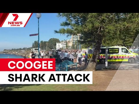 Over $300,000 raised for Coogee shark attack victim | 7NEWS