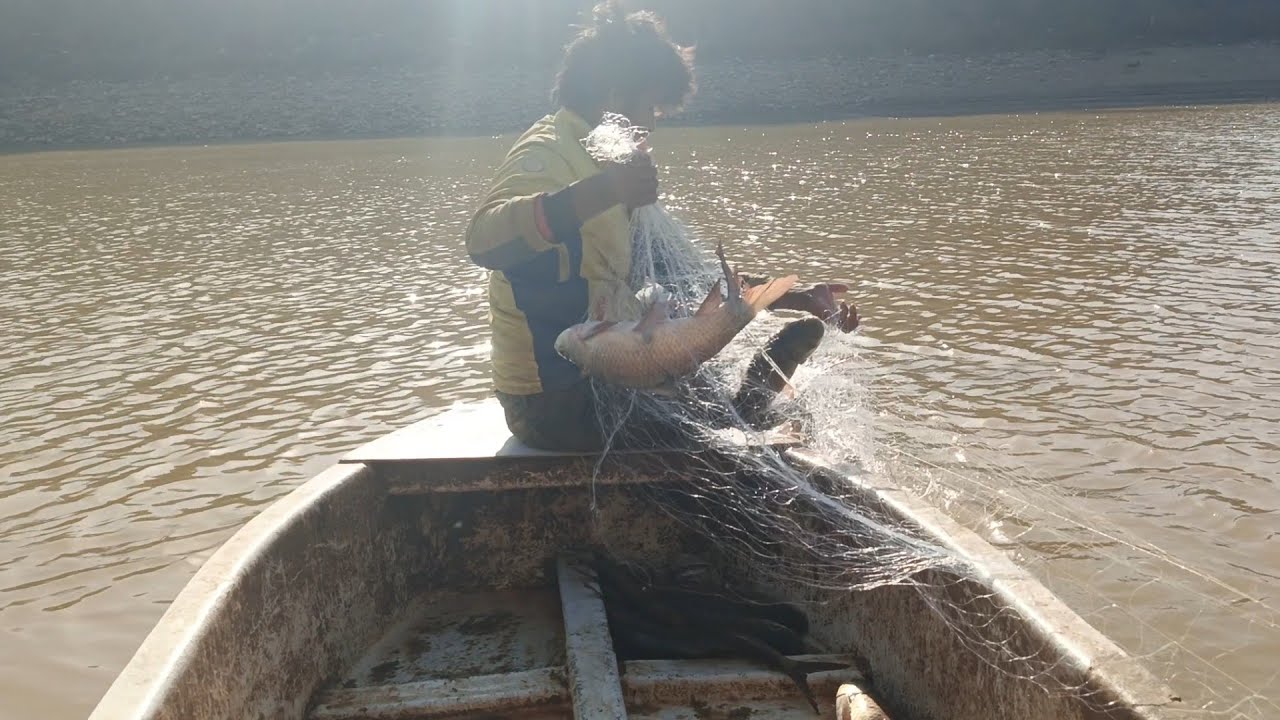 hunting amazing fish shakar top fishing videos😱,, - YouTube