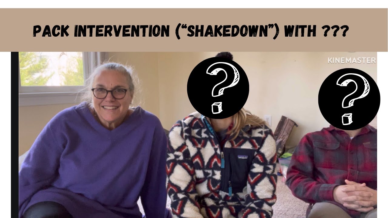 Pack Intervention ("Shakedown") - YouTube