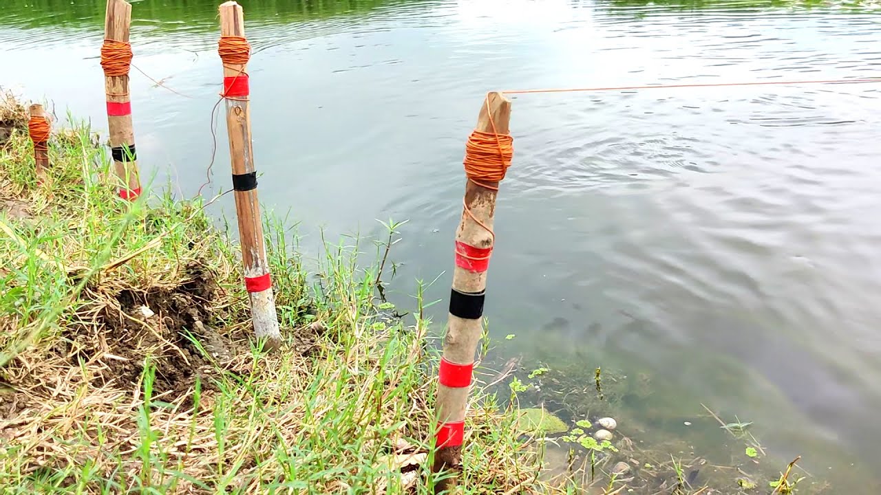 Unique Hook Fishing Technique | Hunting Catfish & Carp Fish By Hook in ...