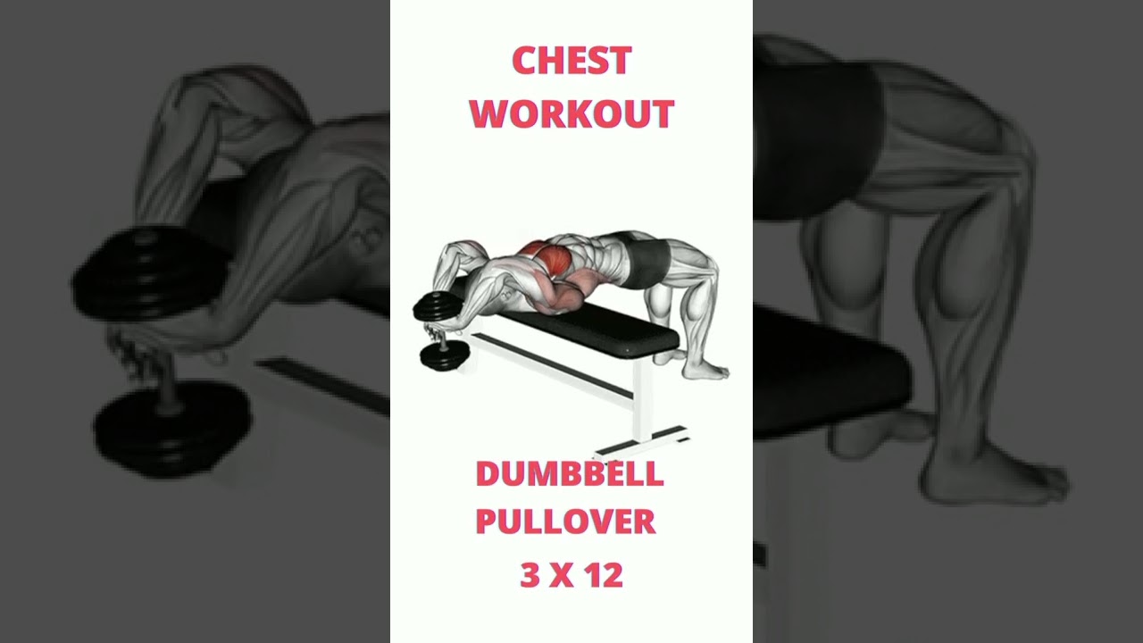 dumbbells pullover |chest workout| |exercise| - YouTube