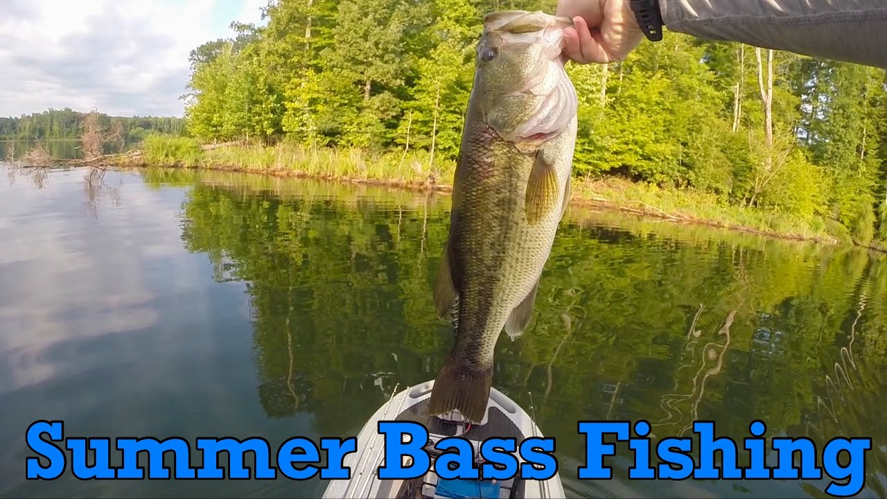 My Favorite Technique for Summer Bass Fishing | Kayak Bass Fishing ...