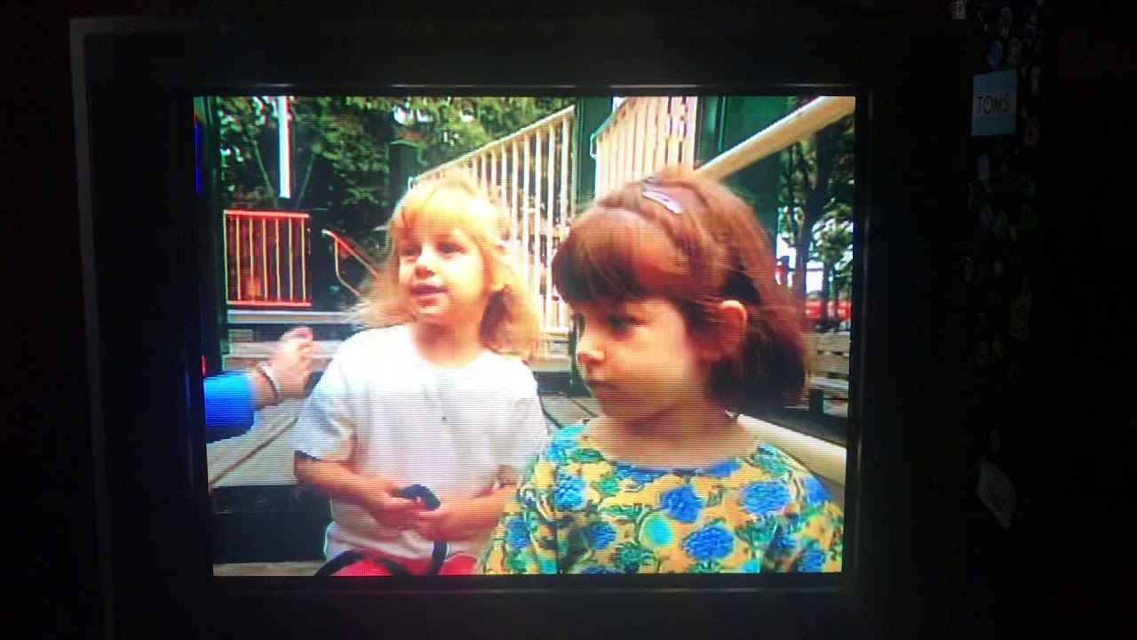 Real life dogs segment - YouTube