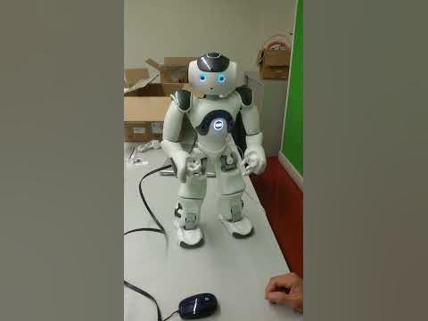 NAO Robot | First encounter - YouTube