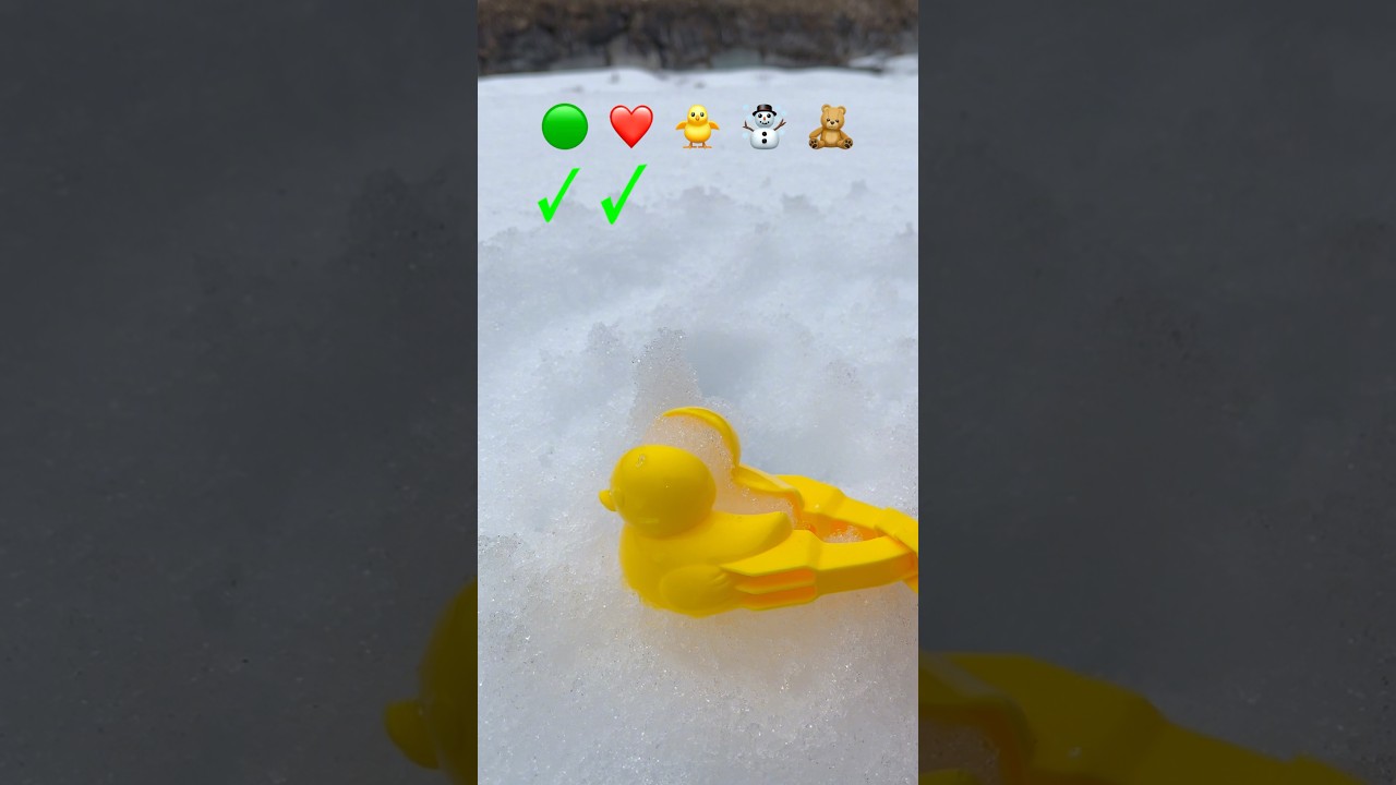 Perfect SNOWBALL asmr 🥹 - YouTube