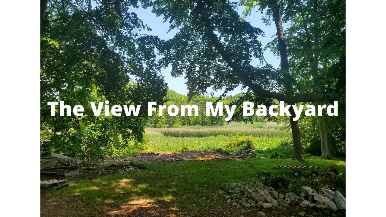 My Beautiful Backyard View! - YouTube