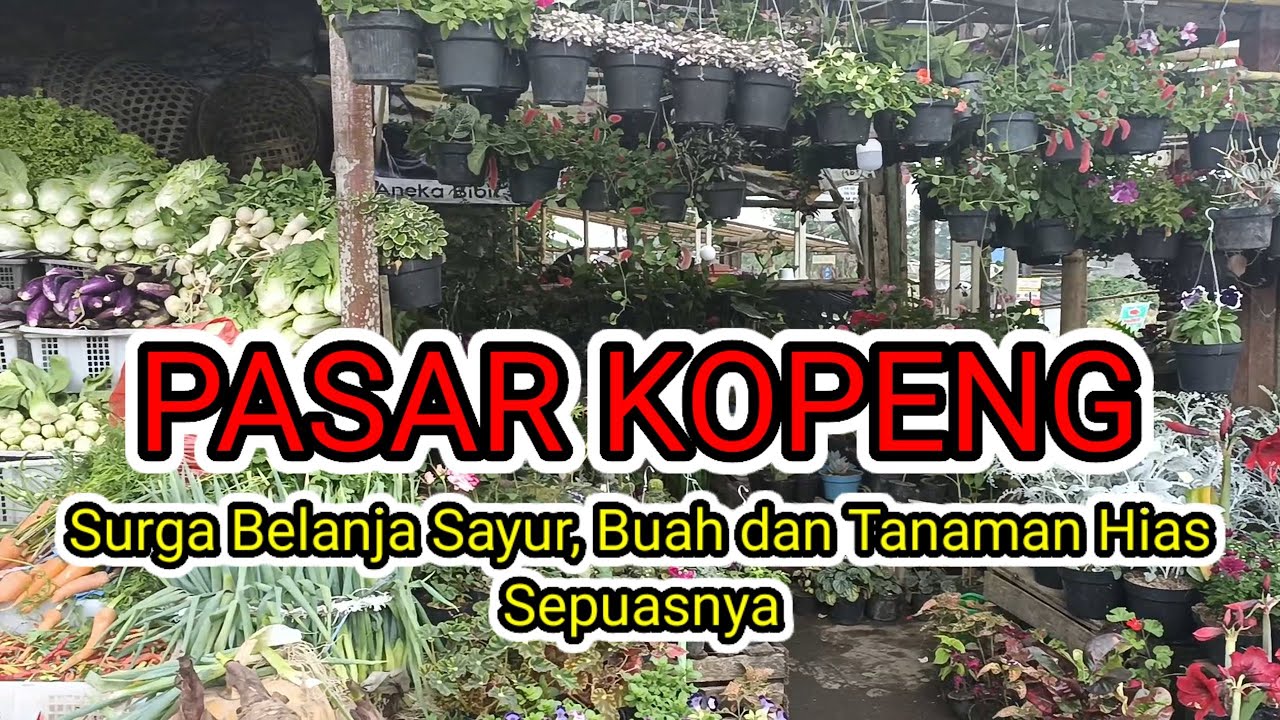WISATA PASAR KOPENG - Surganya Belanja Oleh Oleh Sayur Buah dan Tanaman ...
