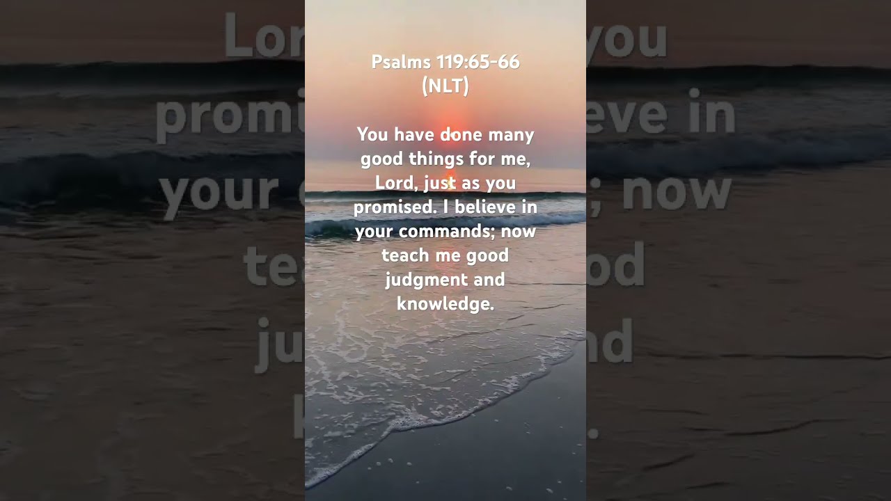 Psalms 119 65 66 NLT Inspiring Scripture YouTube Psalms 119 65 66 NLT Inspiring Scripture YouTube