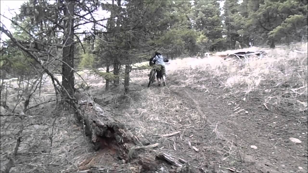 Darcy Rowden - YouTube