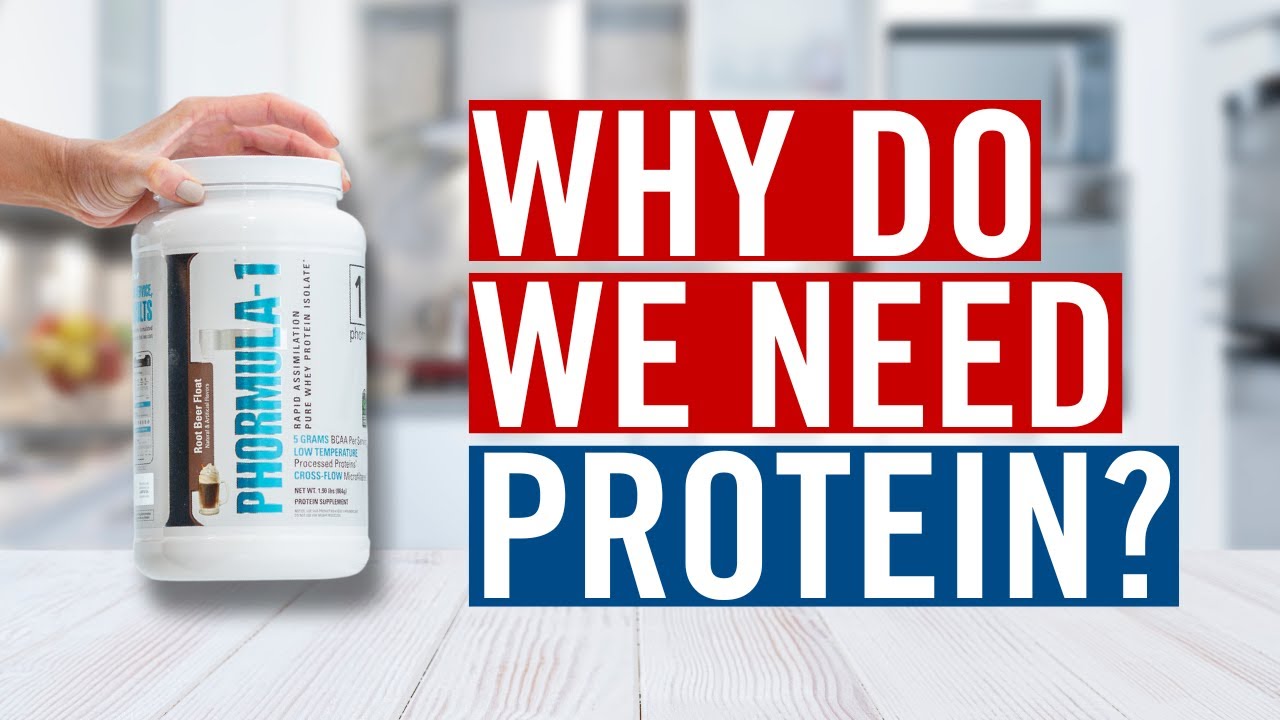 Why do we need protein? - YouTube