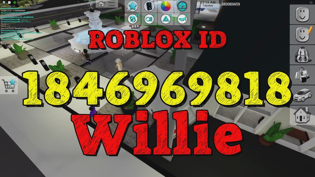 WILLIE Roblox Song Codes - YouTube