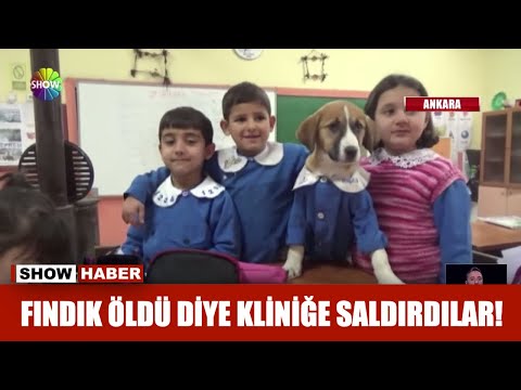 Fındık öldü diye kliniğe saldırdılar!