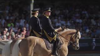 Haflinger Weltausstellung - Highlights | 31. Mai 2025 | Fohlenhof Ebbs