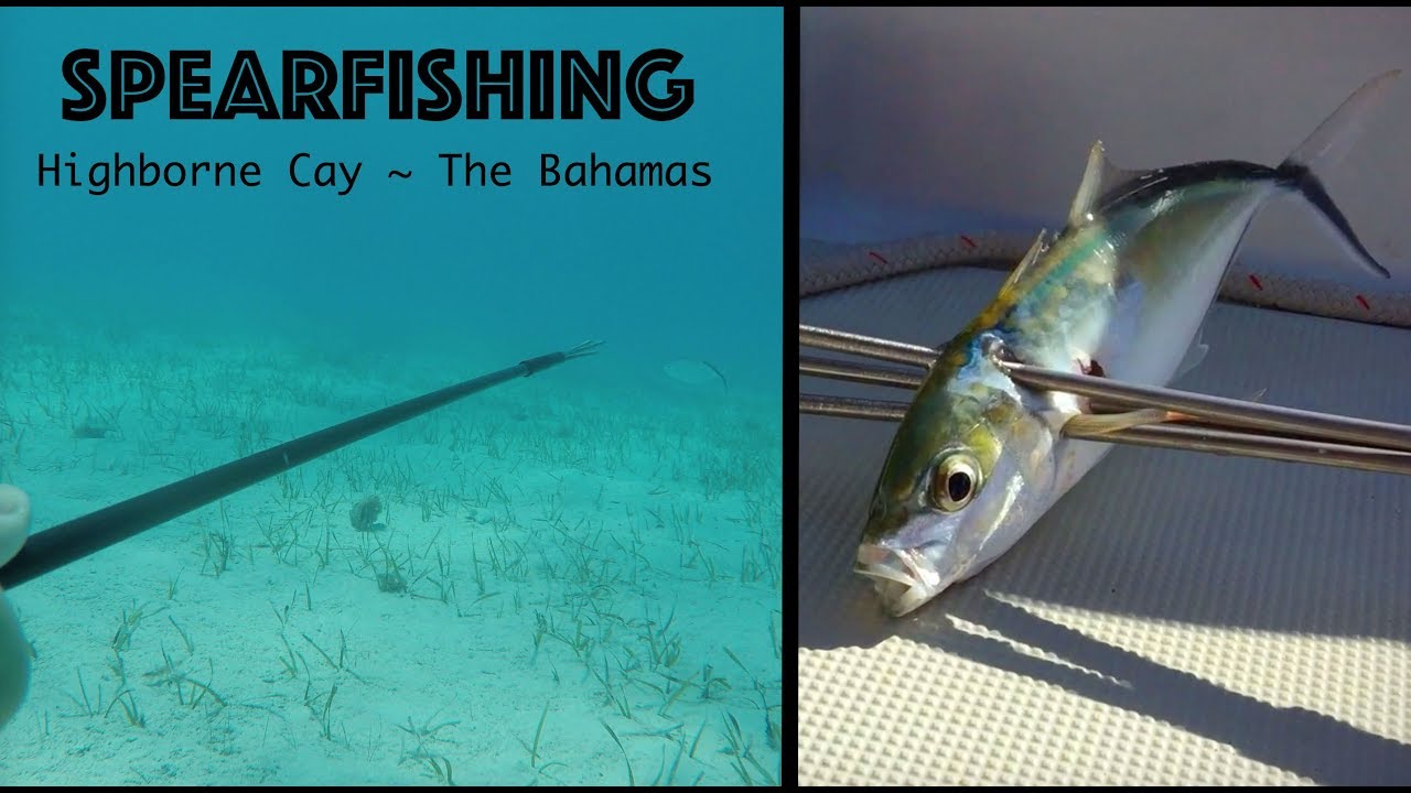 You Got a Fish Already?! Ep. 35 - YouTube