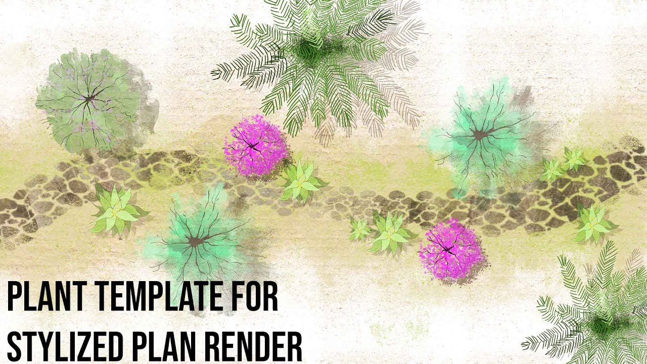 Creating Plant Templates for Conceptual Plan Render: Photoshop Tutorial ...