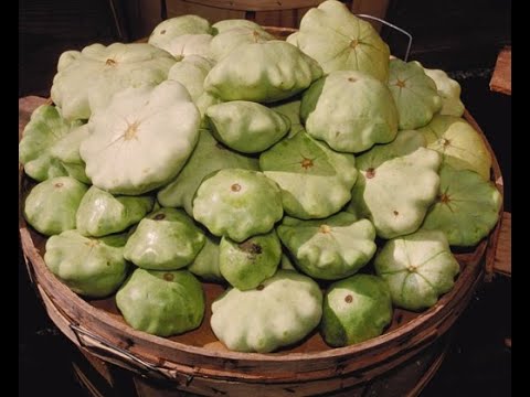 Pohani patišoni - YouTube