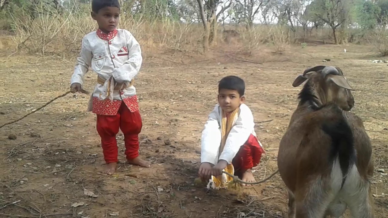 Sadi me reception ke liye bakra party 01...05...2018 - YouTube