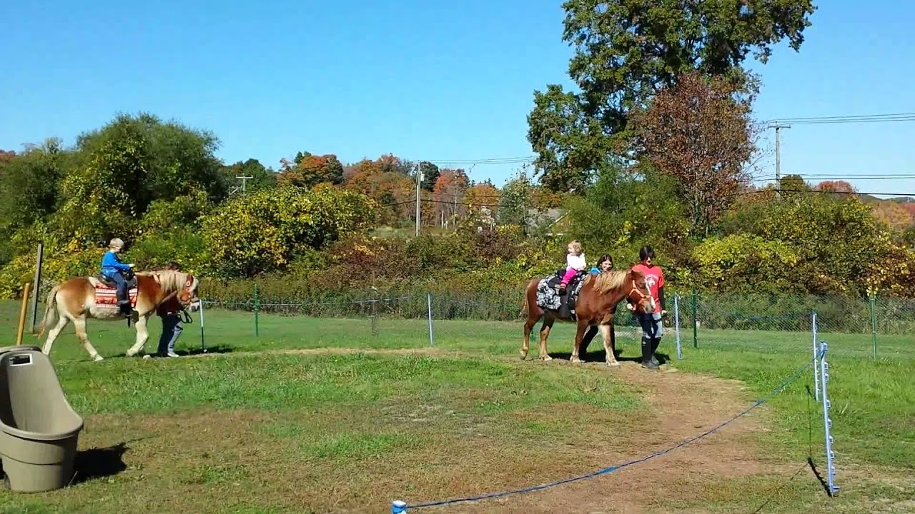 Fall 2014 | Lyman Orchards pony rides. - YouTube