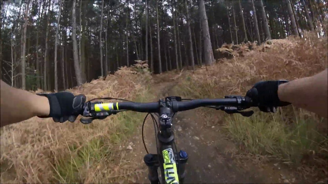 Red Trail Highlights at Swinley Forest - YouTube