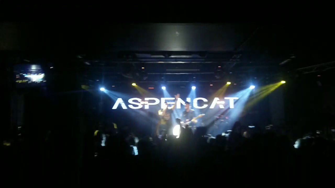 Aspencat - YouTube