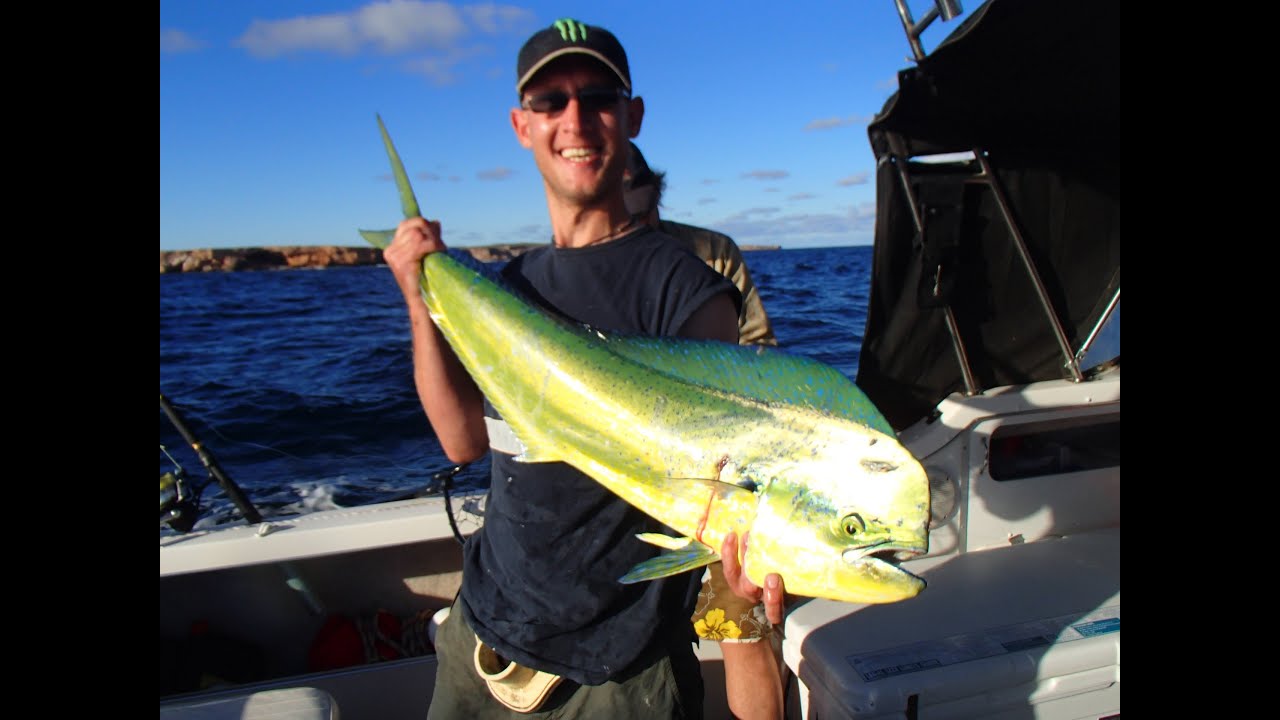 1323 - How to Gaff a Mahi Mahi Like a Pro - YouTube